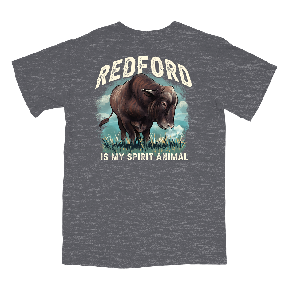 Rufus the Bull – Loughridge Ranch