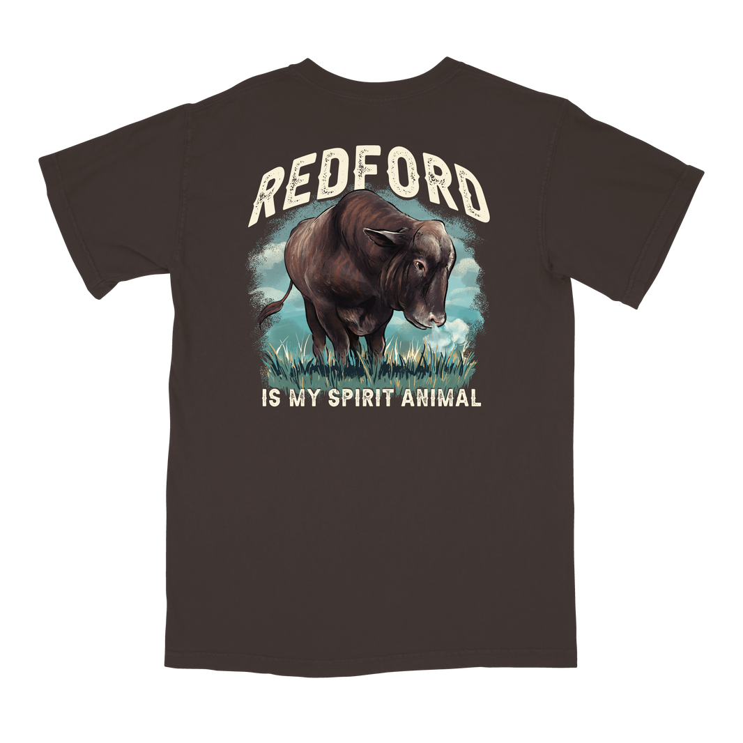 Rufus the Bull – Loughridge Ranch
