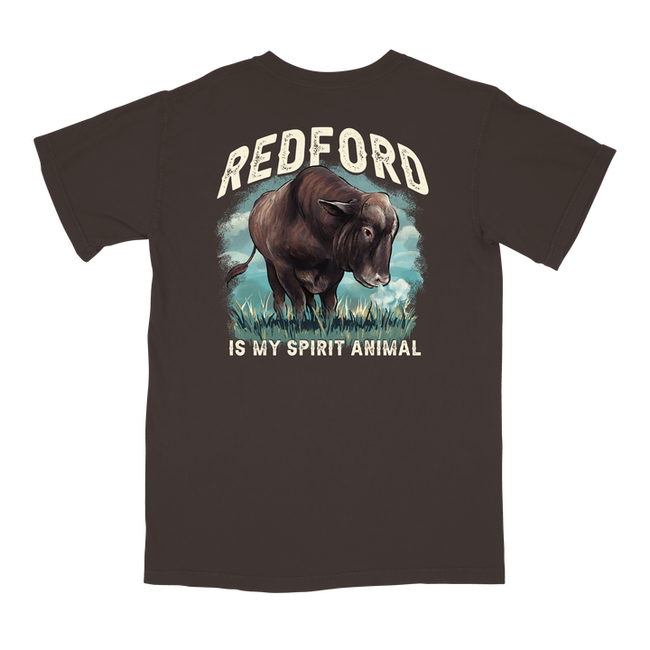 Rufus the Bull – Loughridge Ranch
