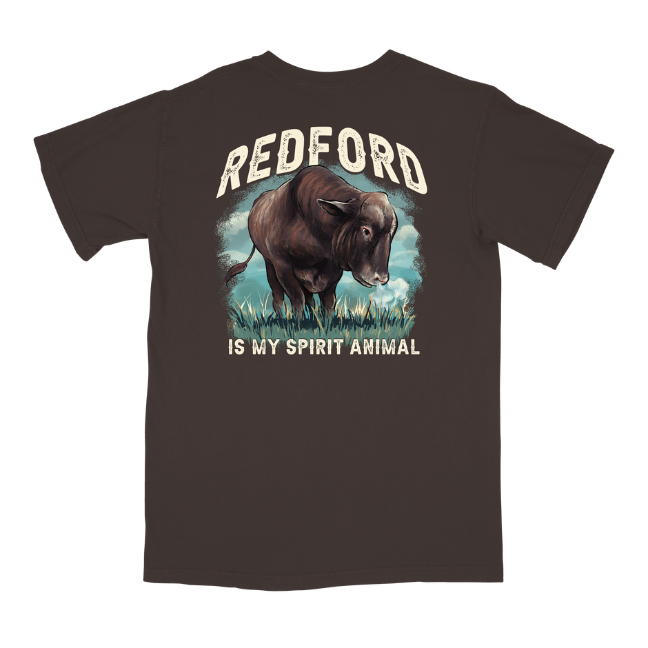 Rufus the Bull – Loughridge Ranch