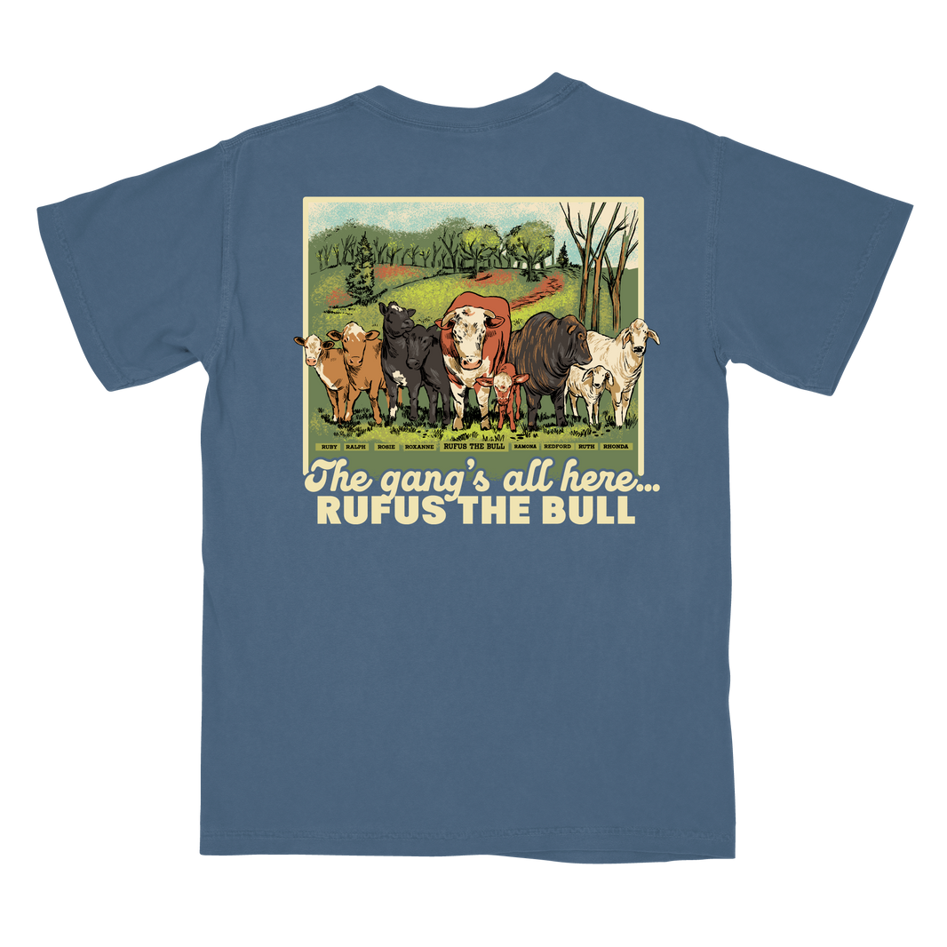 Rufus the Bull – Loughridge Ranch